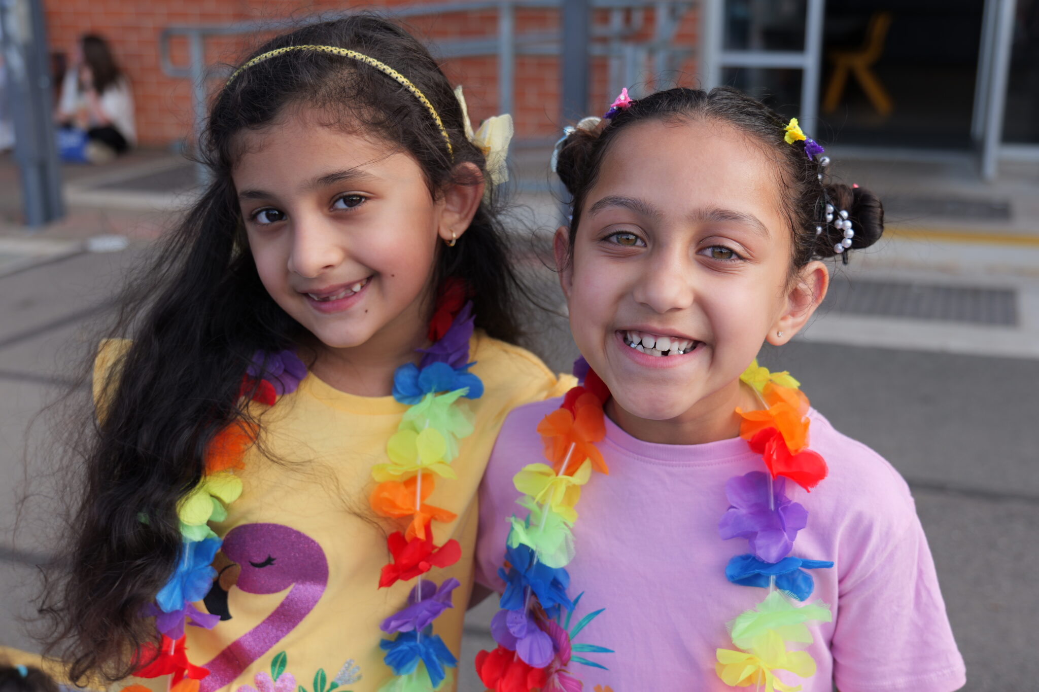 Newsletters – Dernancourt School